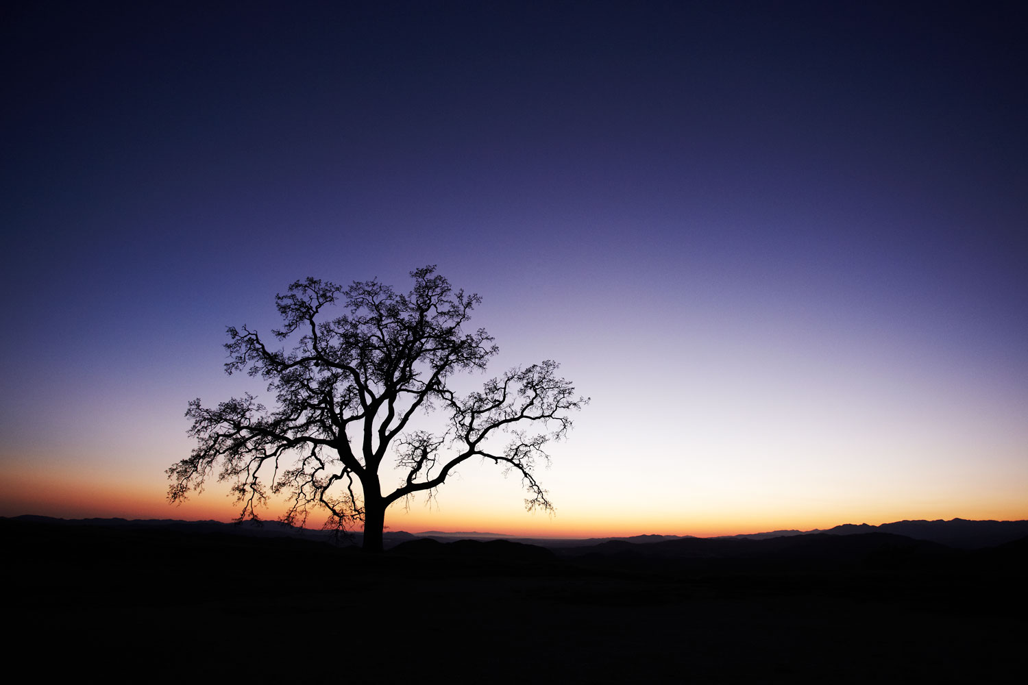 Everything | Nick Reinhardt